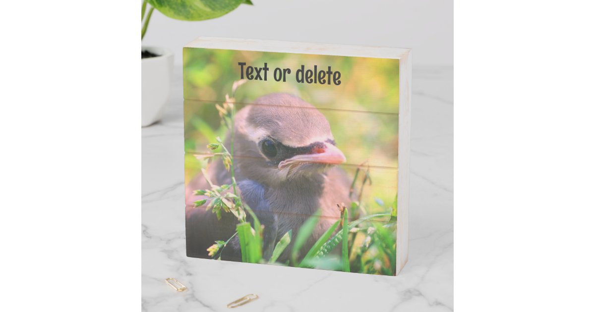 Yellow Cedar Waxwing Fledgling Bird Personalized Wooden Box Sign | Zazzle