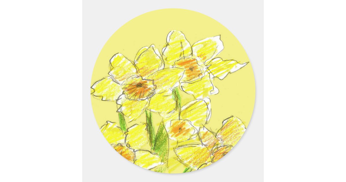 Yellow Daffodil Drawing Watercolor Spring Flowers Classic Round Sticker ...