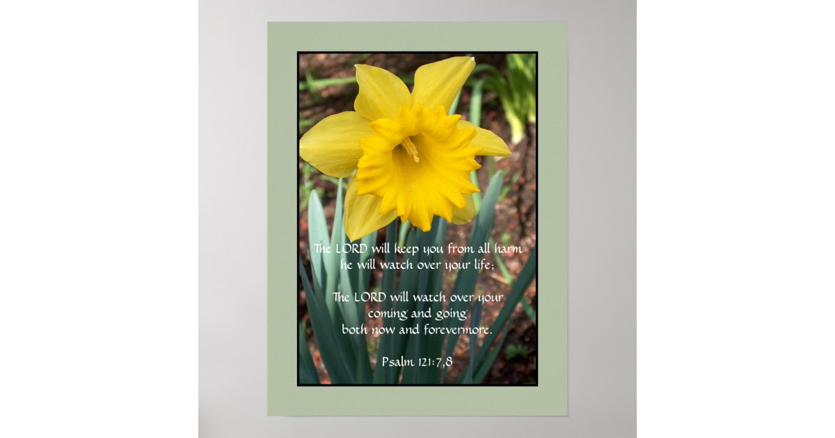 Yellow Daffodil ~ Psalm 121:7,8 Poster | Zazzle