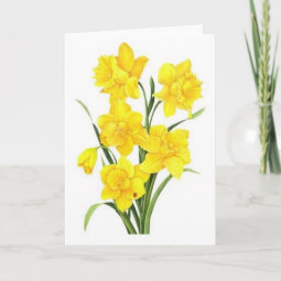 Yellow daffodils card | Zazzle