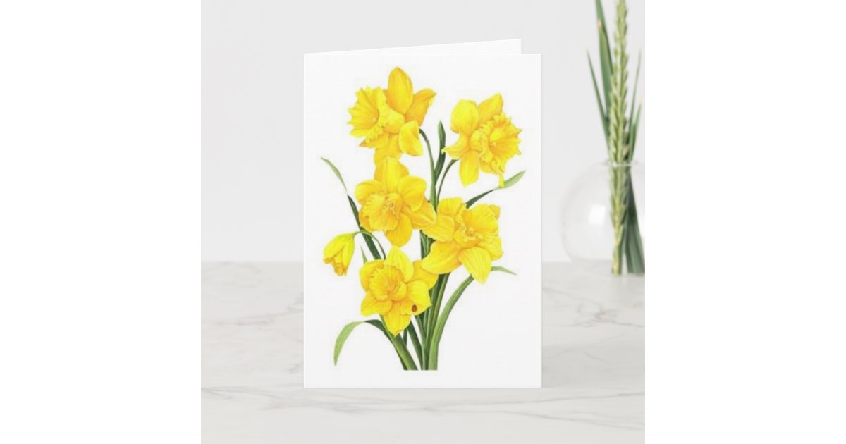 Yellow daffodils card | Zazzle