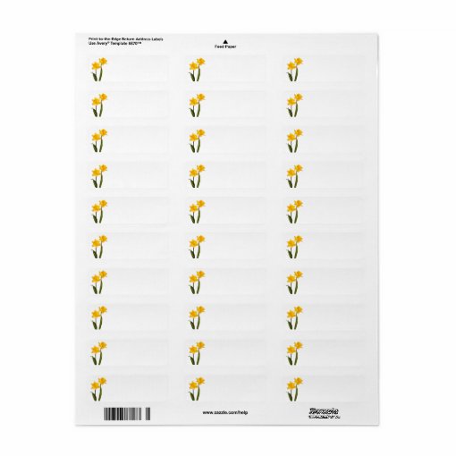 Yellow Daffodils on White - Daffodil Flower Blank Label | Zazzle