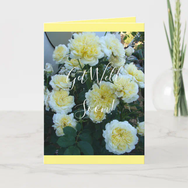Yellow David Austin Roses Rose Garden flowers Card | Zazzle