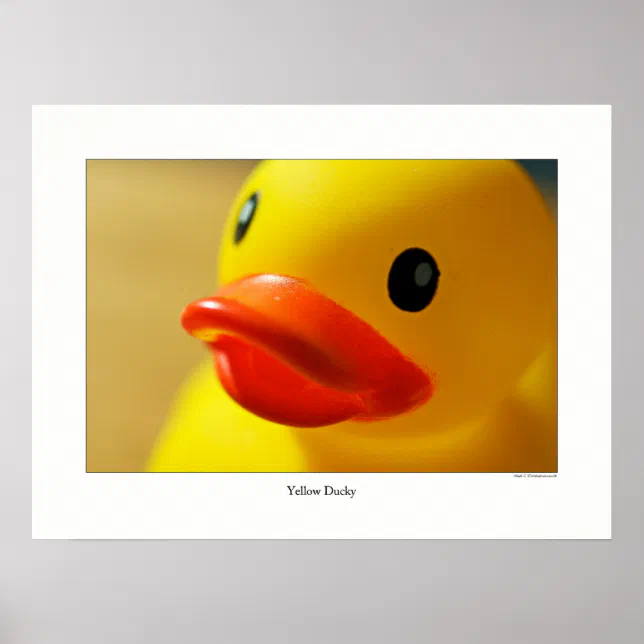 Yellow Ducky Poster | Zazzle