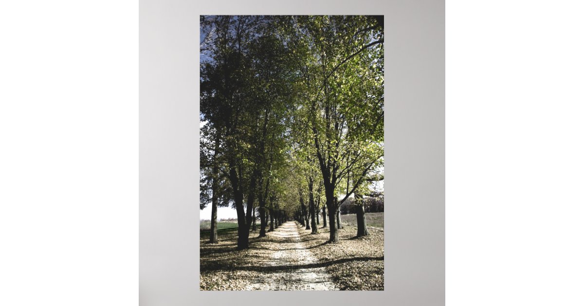 yellow forrest gump poster | Zazzle