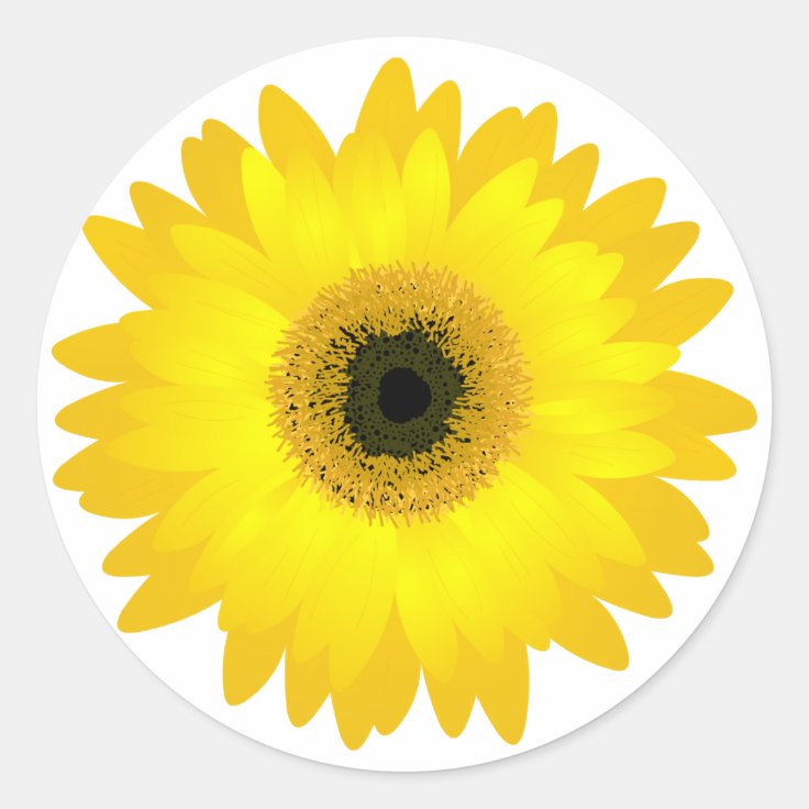 Yellow Gerbera Daisy Classic Round Sticker | Zazzle