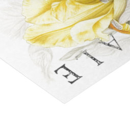 Yellow Iris Flower Butterfly French Decoupage Tissue Paper | Zazzle