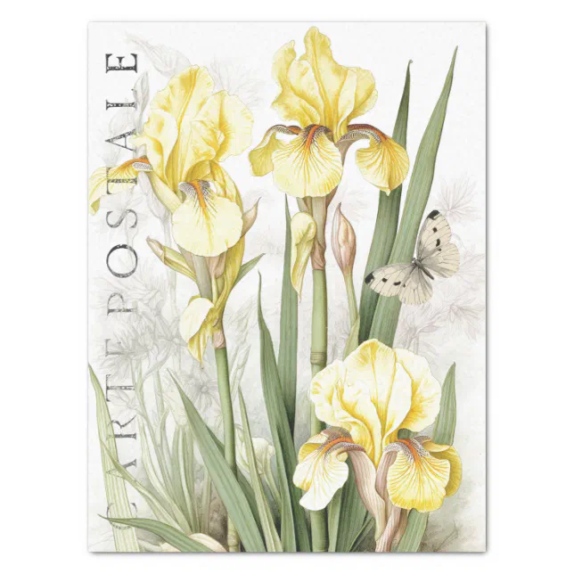 Yellow Iris Flower Butterfly French Decoupage Tissue Paper | Zazzle
