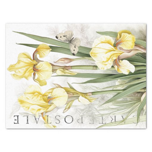 Yellow Iris Flower Butterfly French Decoupage Tissue Paper | Zazzle