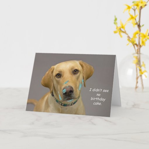 Yellow Lab Birthday Card by Focus for a Cause | Zazzle