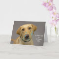 Yellow Lab Birthday Card by Focus for a Cause | Zazzle