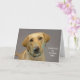 Yellow Lab Birthday Card by Focus for a Cause | Zazzle