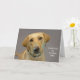 Yellow Lab Birthday Card by Focus for a Cause | Zazzle