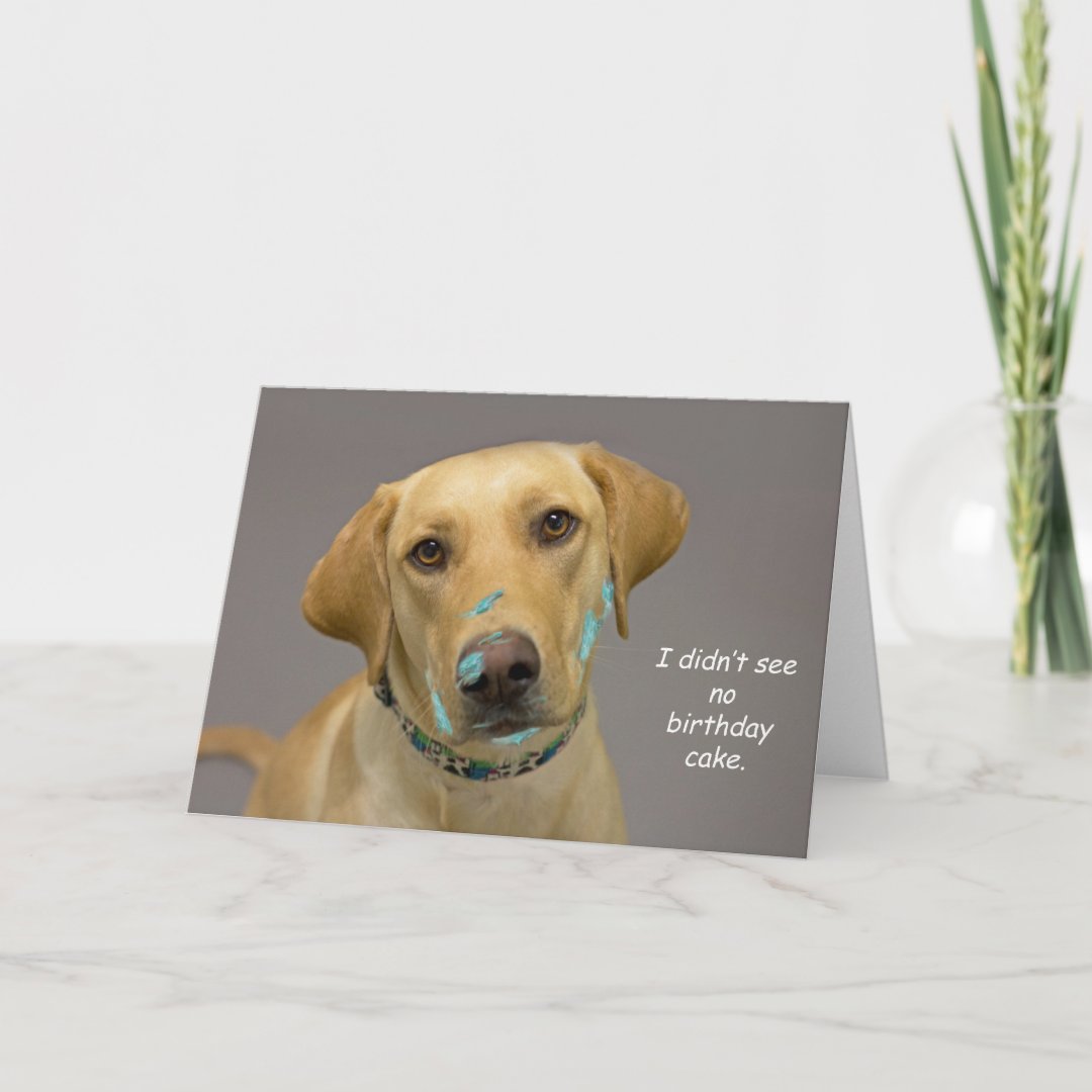 Yellow Lab Birthday Card by Focus for a Cause | Zazzle