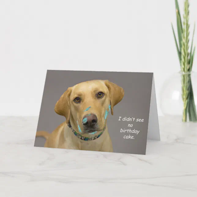 Yellow Lab Birthday Card by Focus for a Cause | Zazzle