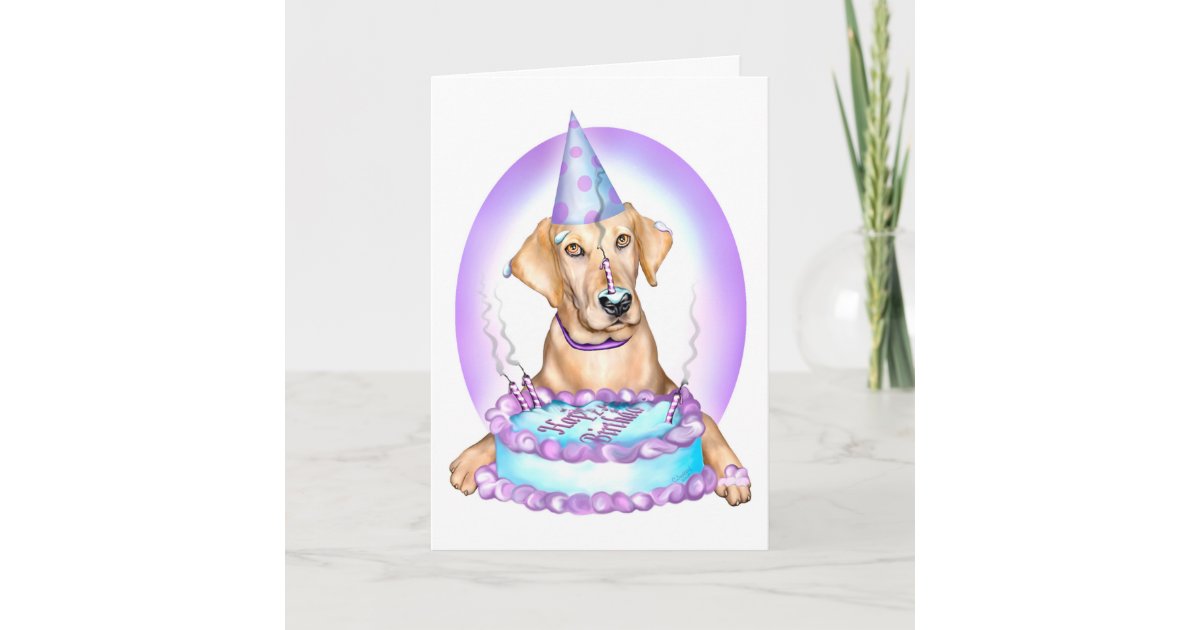 Yellow Lab Cake Face Birthday Card | Zazzle