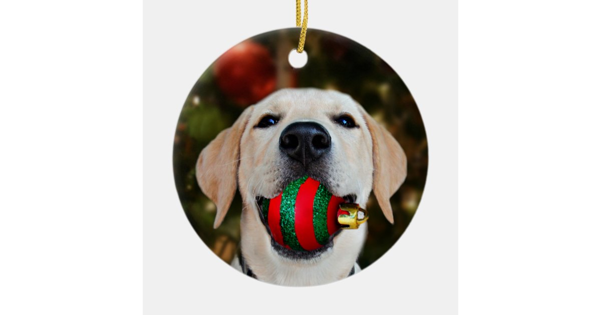 Yellow lab Christmas ball Ceramic Ornament | Zazzle