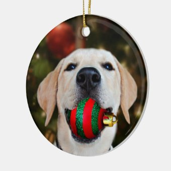 Yellow lab Christmas ball Ceramic Ornament | Zazzle
