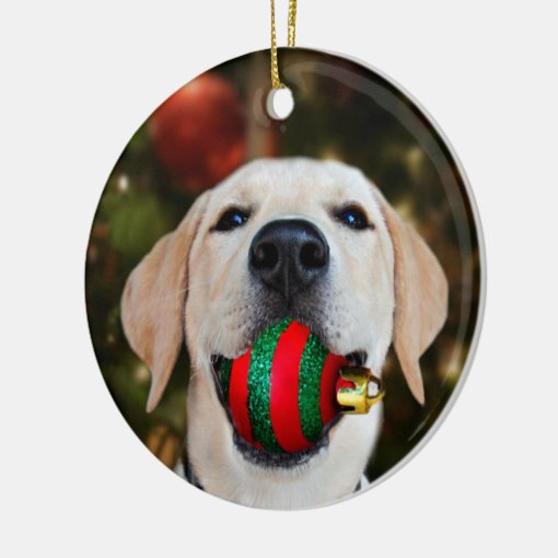 Yellow lab Christmas ball Ceramic Ornament | Zazzle