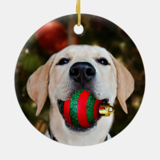 Yellow lab Christmas ball Ceramic Ornament | Zazzle