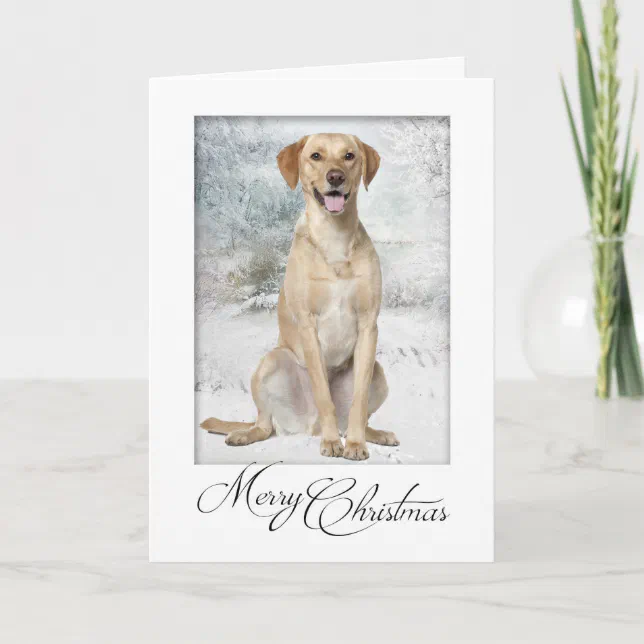 Yellow Lab Christmas Card | Zazzle