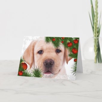 Yellow Lab Christmas Card- Cute Dog Puppy Labrador Holiday Card | Zazzle