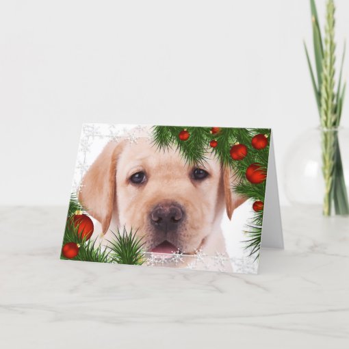 Yellow Lab Christmas Card- Cute Dog Puppy Labrador Holiday Card | Zazzle