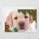 Yellow Lab Christmas Card- Cute Dog Puppy Labrador Holiday Card | Zazzle