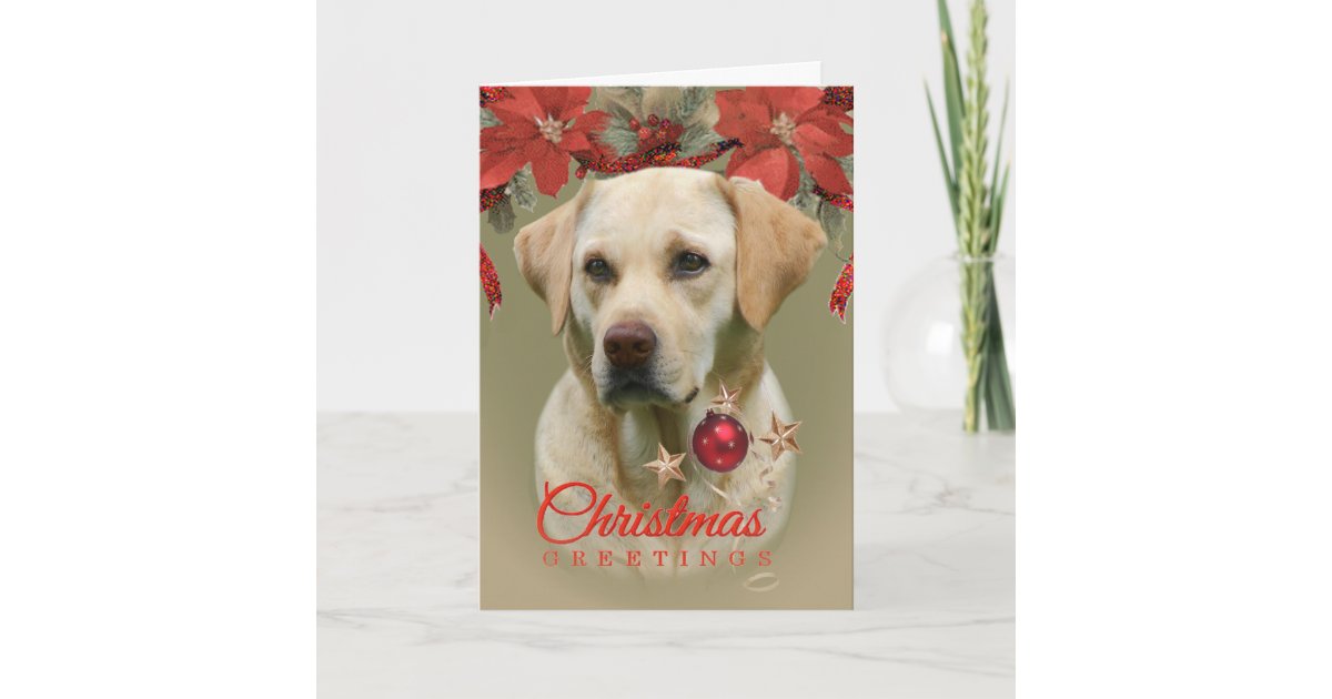 YELLOW LAB CHRISTMAS GREETINGS CARDS | Zazzle