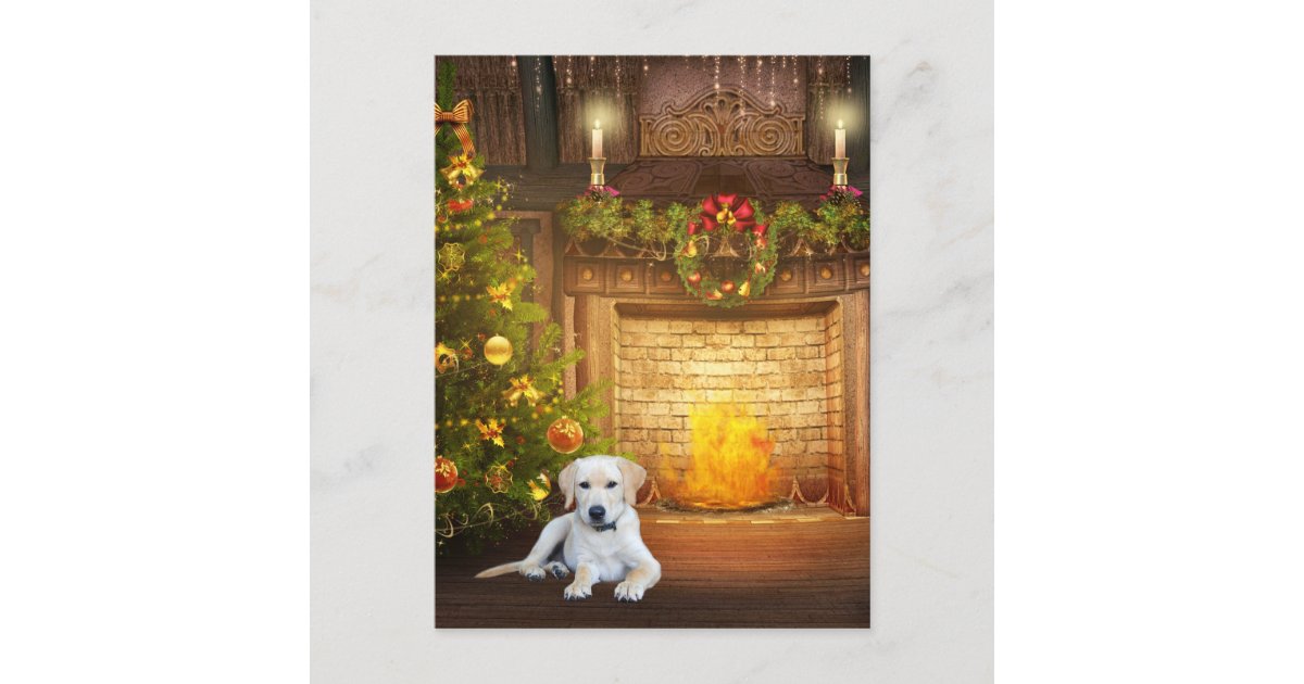Yellow lab Christmas Holiday Postcard | Zazzle