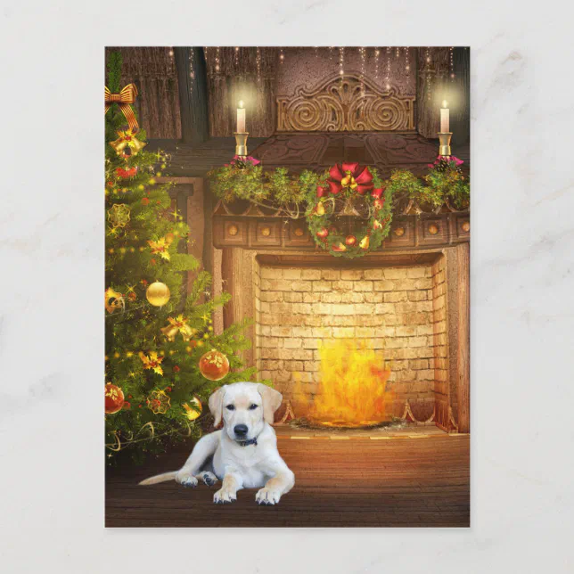 Yellow lab Christmas Holiday Postcard | Zazzle