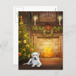 Yellow lab Christmas Holiday Postcard | Zazzle