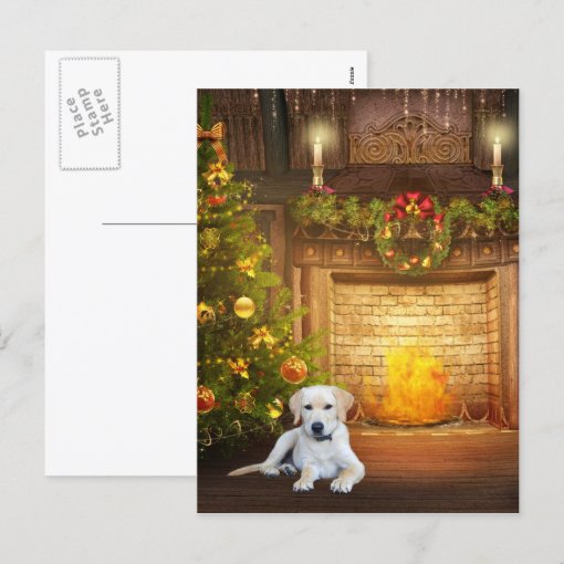 Yellow lab Christmas Holiday Postcard | Zazzle