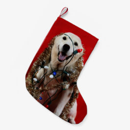 Yellow lab Christmas Small Christmas Stocking | Zazzle