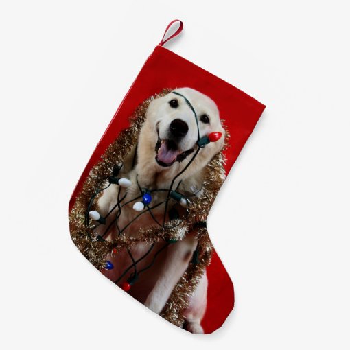 Yellow lab Christmas Small Christmas Stocking | Zazzle