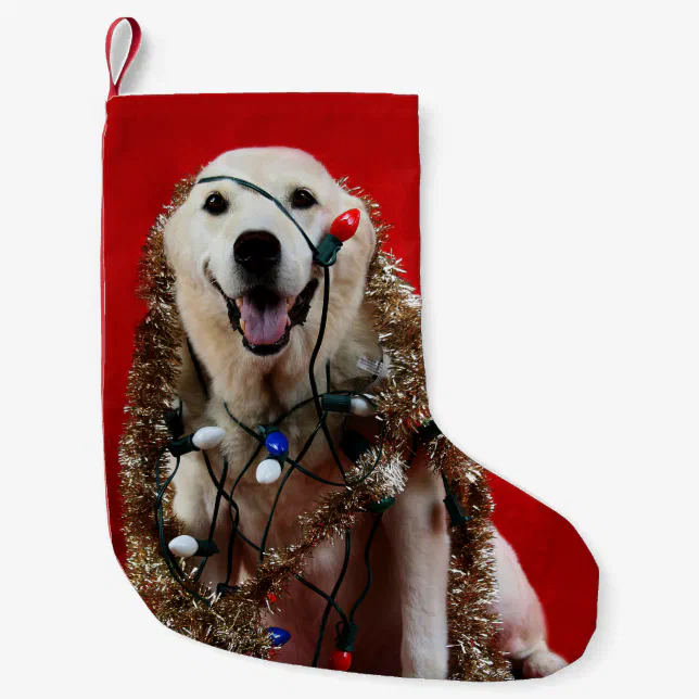 Yellow lab Christmas Small Christmas Stocking | Zazzle