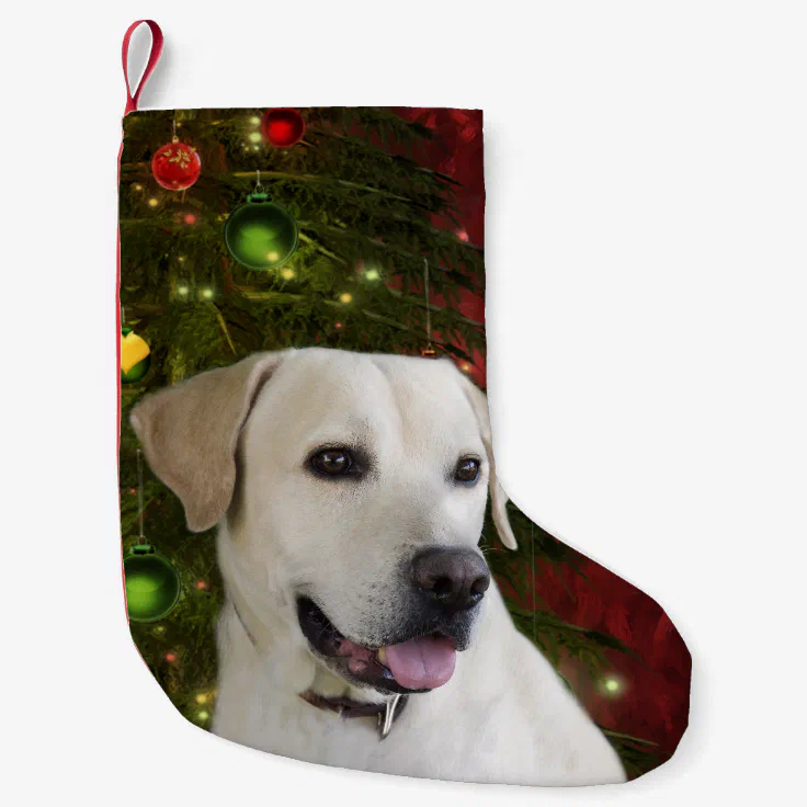 Yellow lab Christmas Small Christmas Stocking | Zazzle