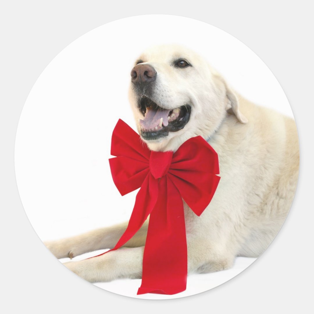 Yellow lab Christmas sticker | Zazzle