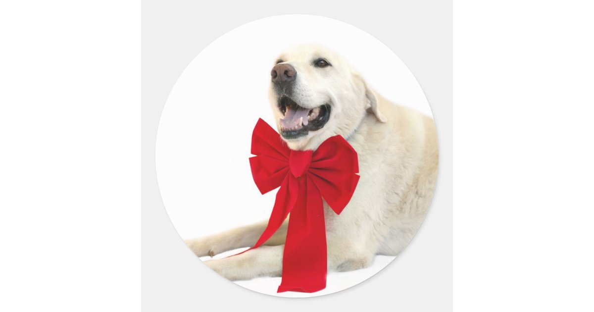 Yellow lab Christmas sticker | Zazzle