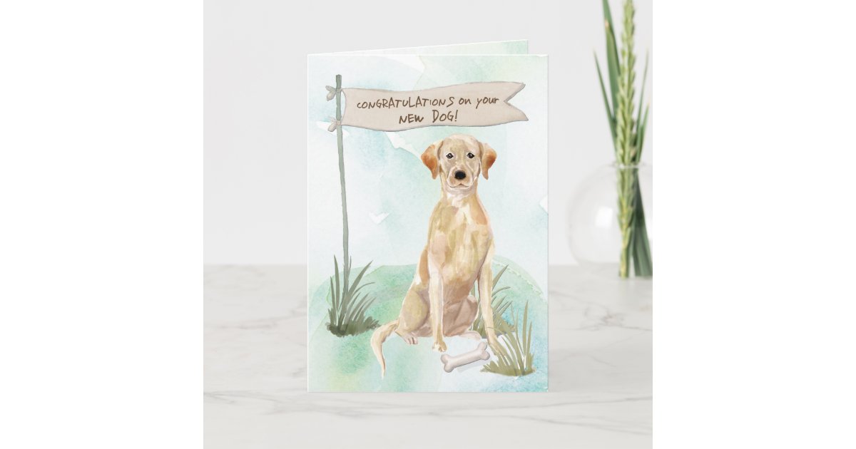 Yellow Lab Congratulations on New Dog Card | Zazzle