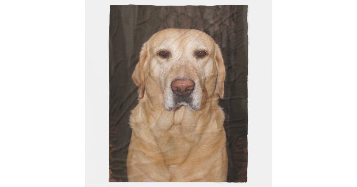 Yellow Lab Fleece Blanket | Zazzle