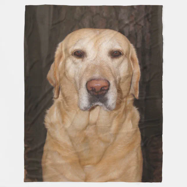 Yellow Lab Fleece Blanket | Zazzle