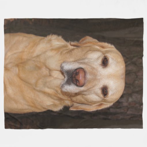Yellow Lab Fleece Blanket | Zazzle