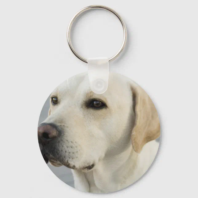 Yellow Lab Keychain | Zazzle