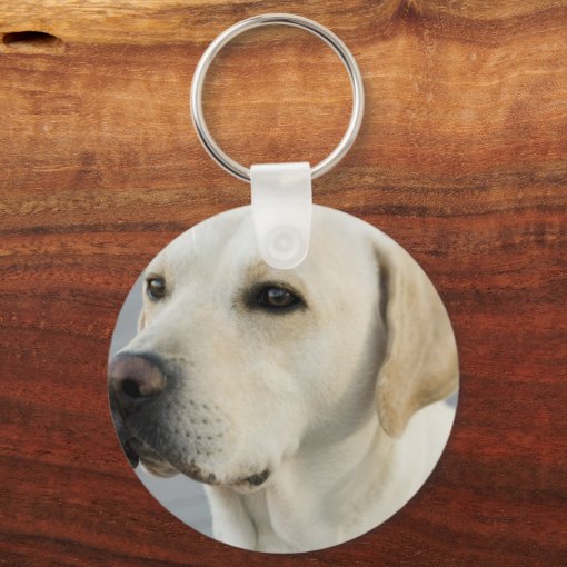 Yellow Lab Keychain | Zazzle