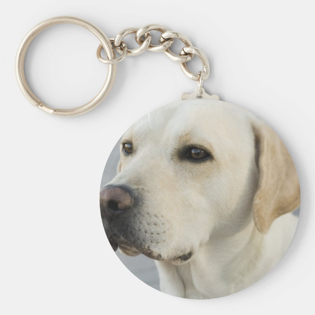 Yellow Lab Keychain | Zazzle