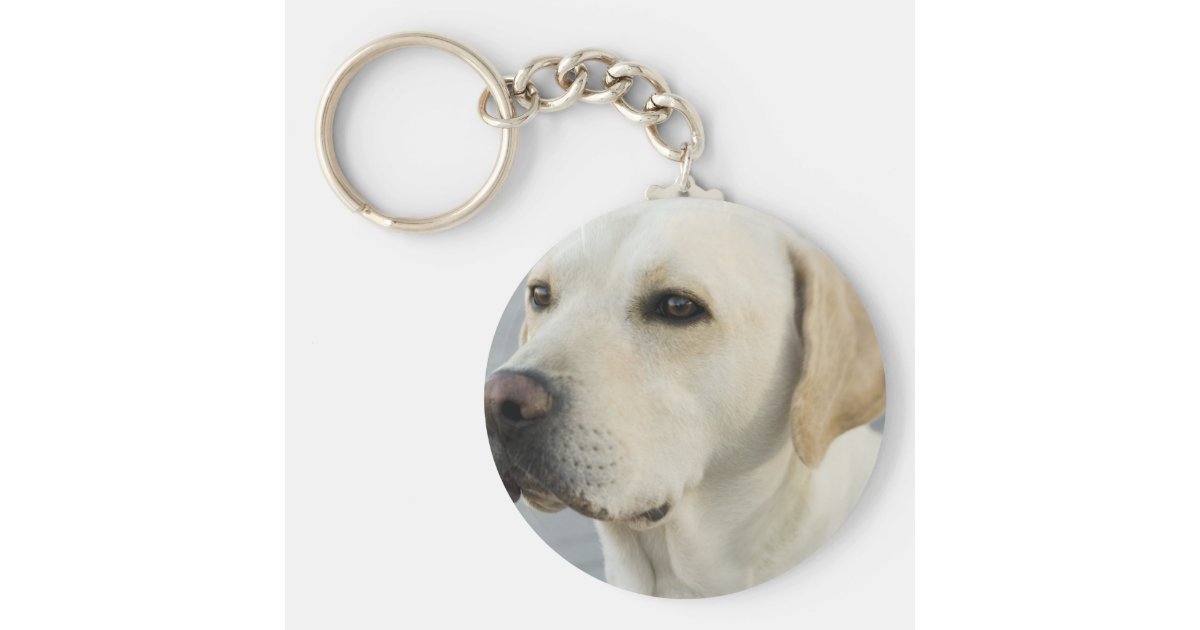 Yellow Lab Keychain | Zazzle.com