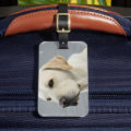 Yellow Lab Luggage Tag | Zazzle