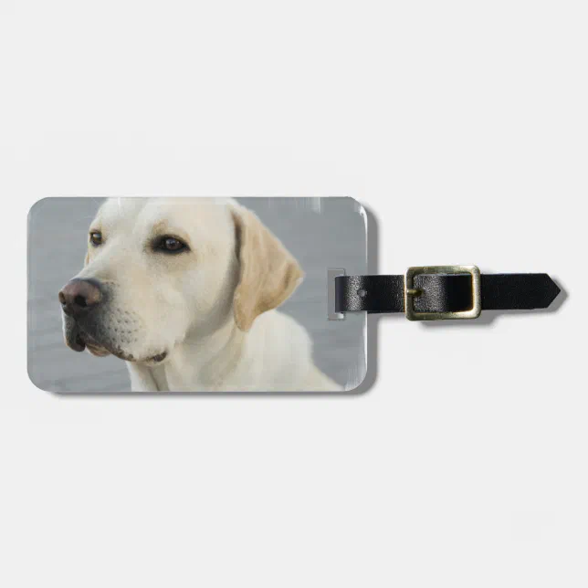 Yellow Lab Luggage Tag | Zazzle