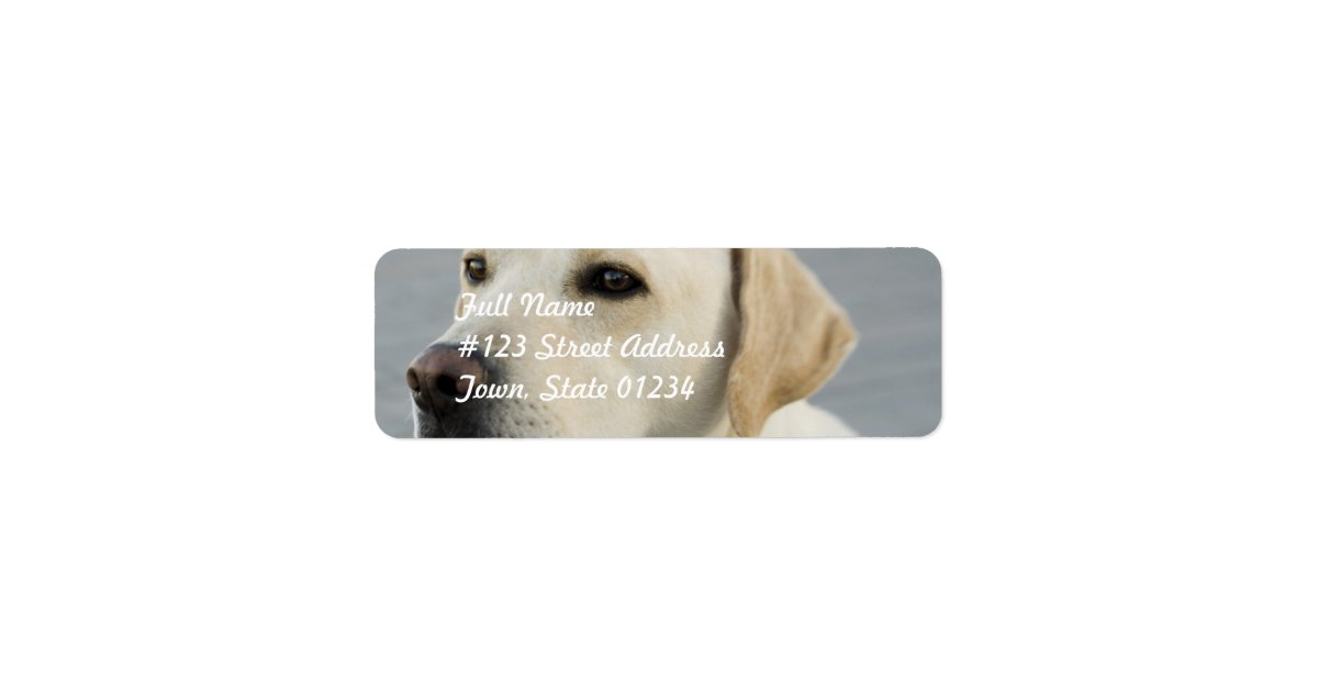 Yellow Lab Mailing Labels | Zazzle